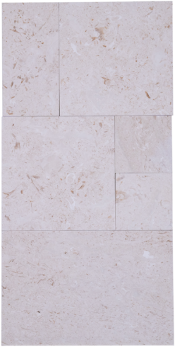 French Pattern Shell Stone Tumbled Tile - Marble Expo